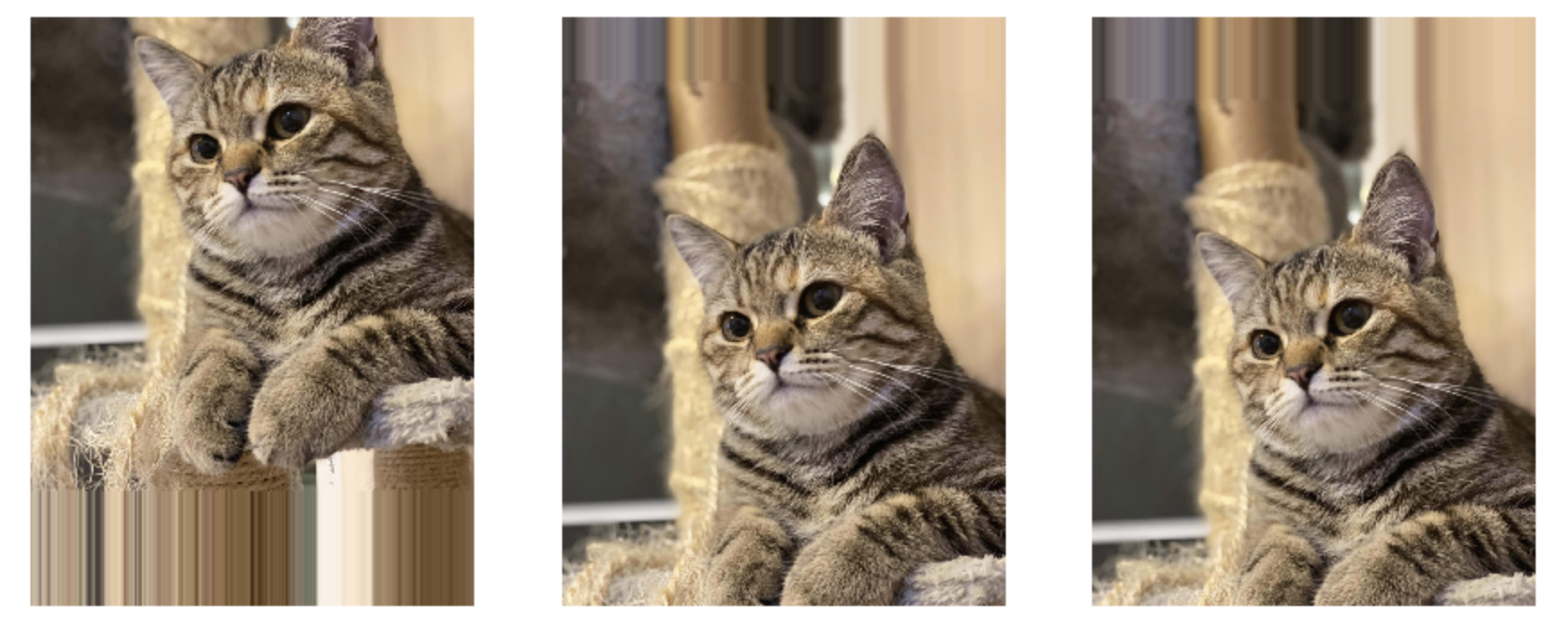 การทำ Regularization แบบสมัยใหม่ ด้วยเทคนิค Augmentation, Batch ...