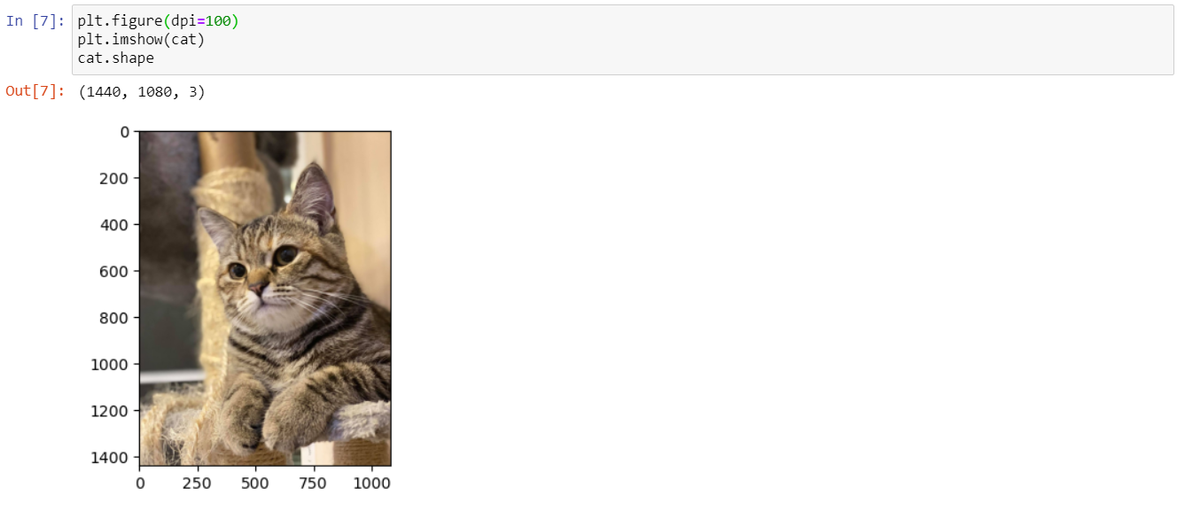 Visualizing Kernels and Feature Maps in Deep Learning Model (CNN)