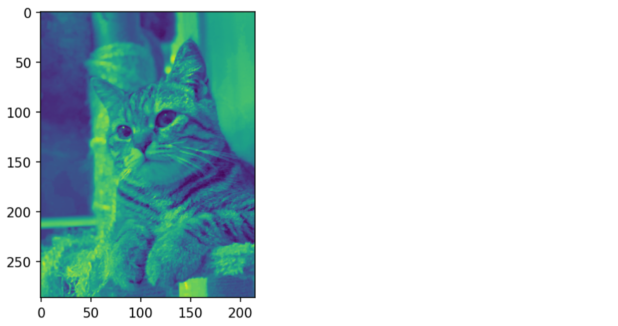 Visualizing Kernels and Feature Maps in Deep Learning Model (CNN)