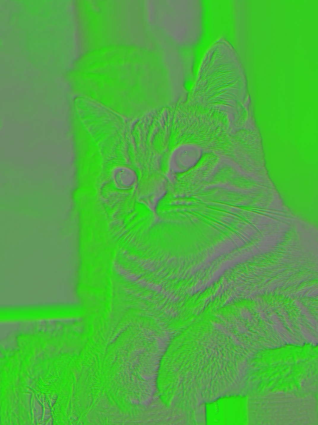 Visualizing Kernels and Feature Maps in Deep Learning Model (CNN)