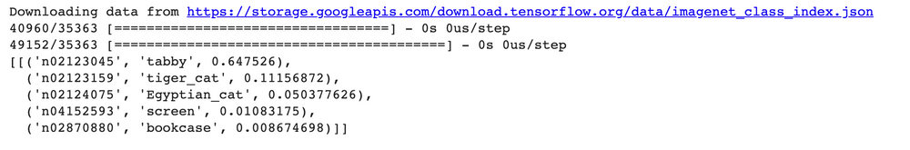 Transfer Learning with Keras for Computer Vision Applications