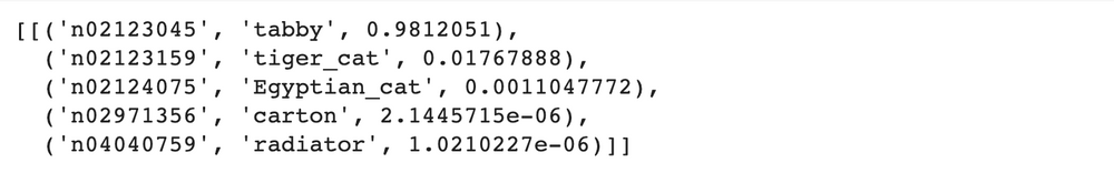 Transfer Learning with Keras for Computer Vision Applications