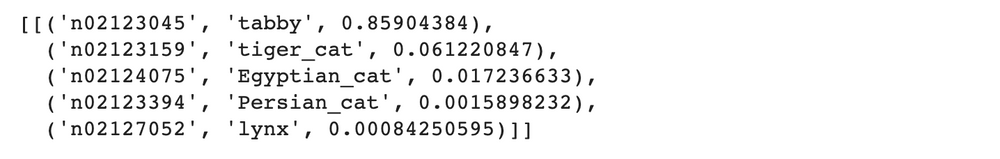 Transfer Learning with Keras for Computer Vision Applications
