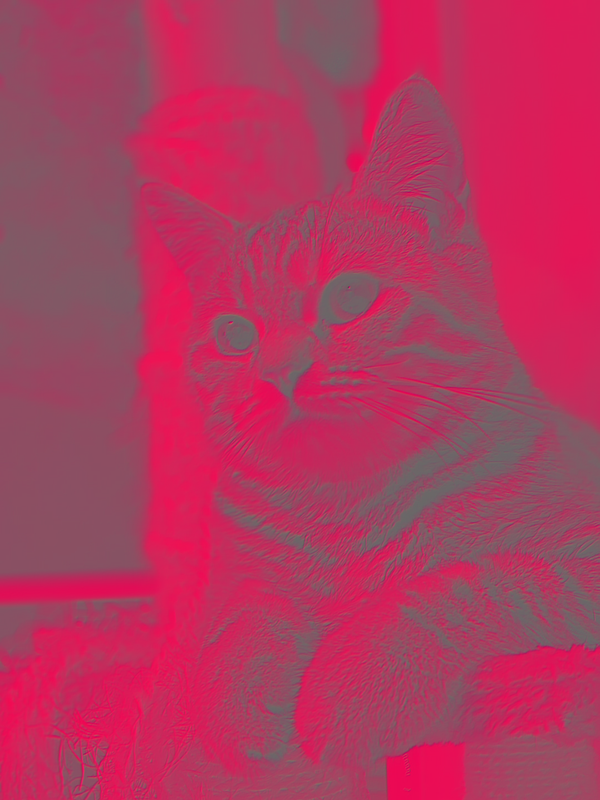 Visualizing Kernels and Feature Maps in Deep Learning Model (CNN)